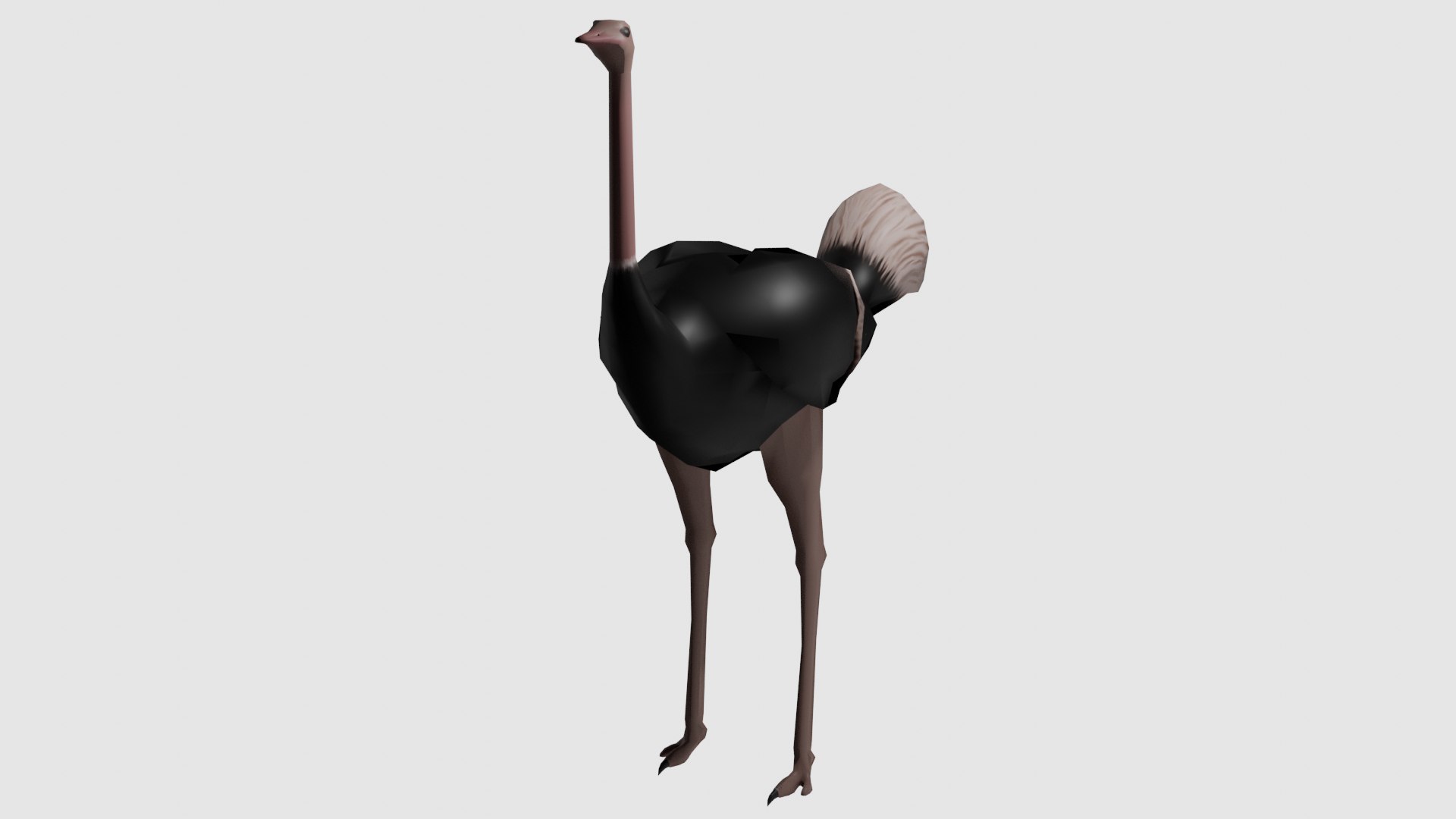 3D Ostrich - TurboSquid 2101655