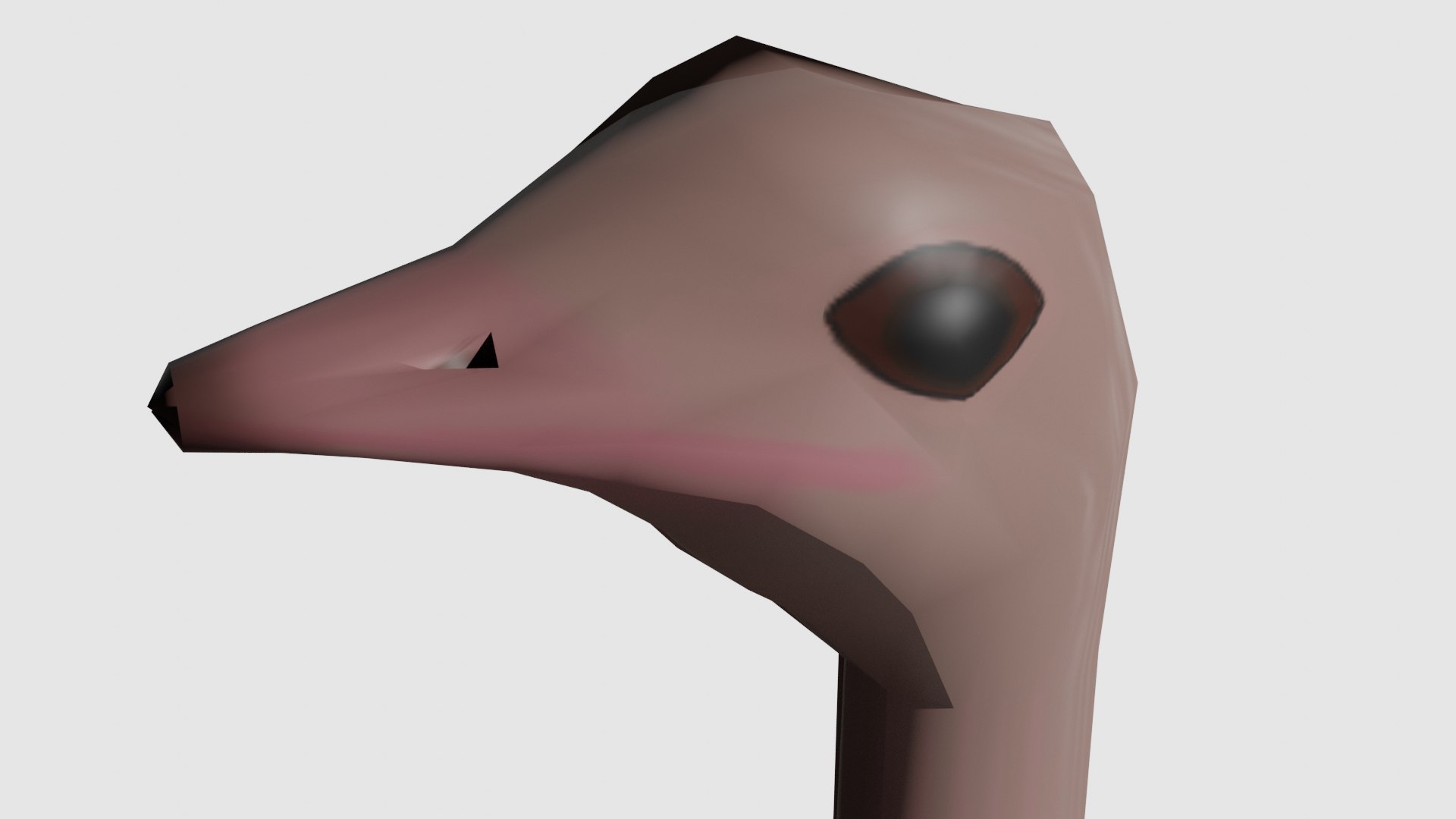 3D Ostrich - TurboSquid 2101655