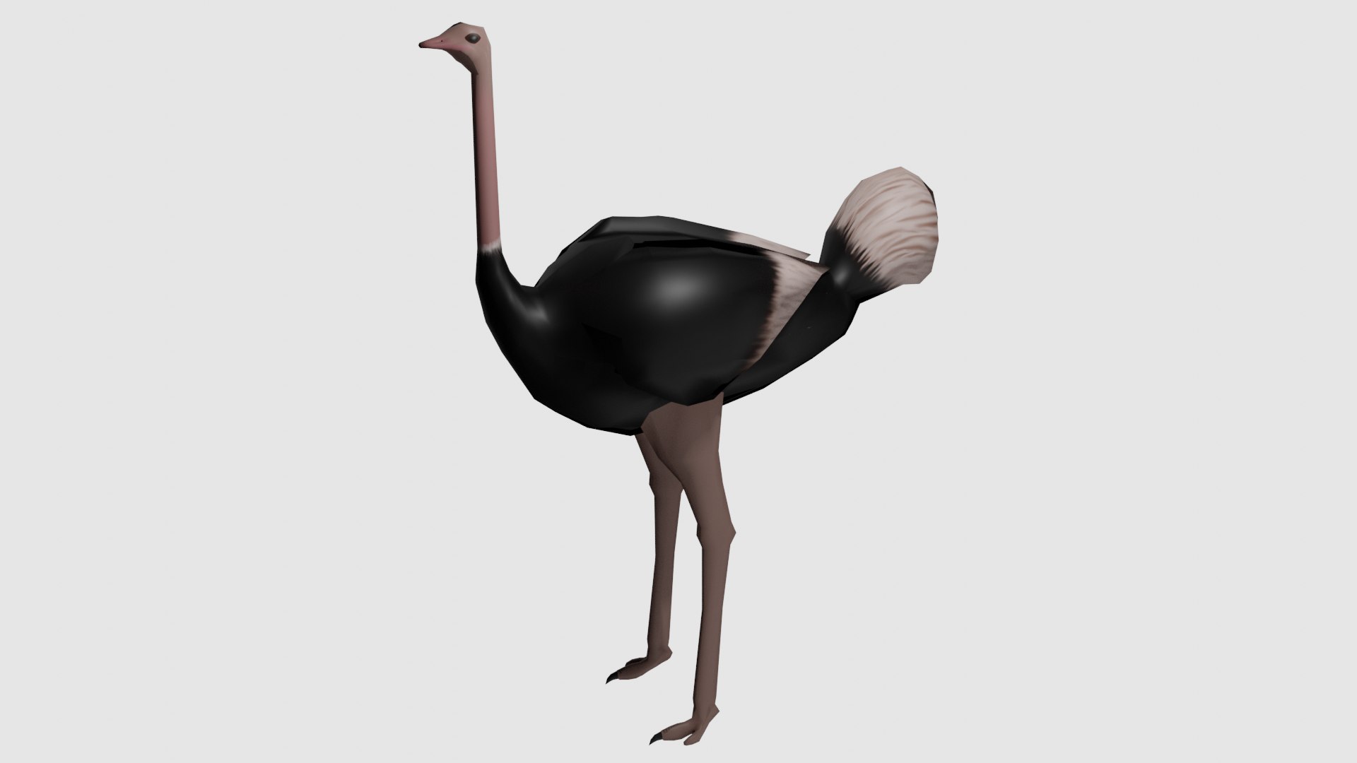 3D Ostrich - TurboSquid 2101655