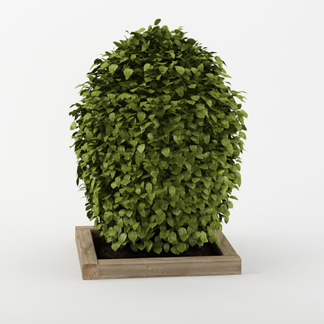 Bush 3d Max