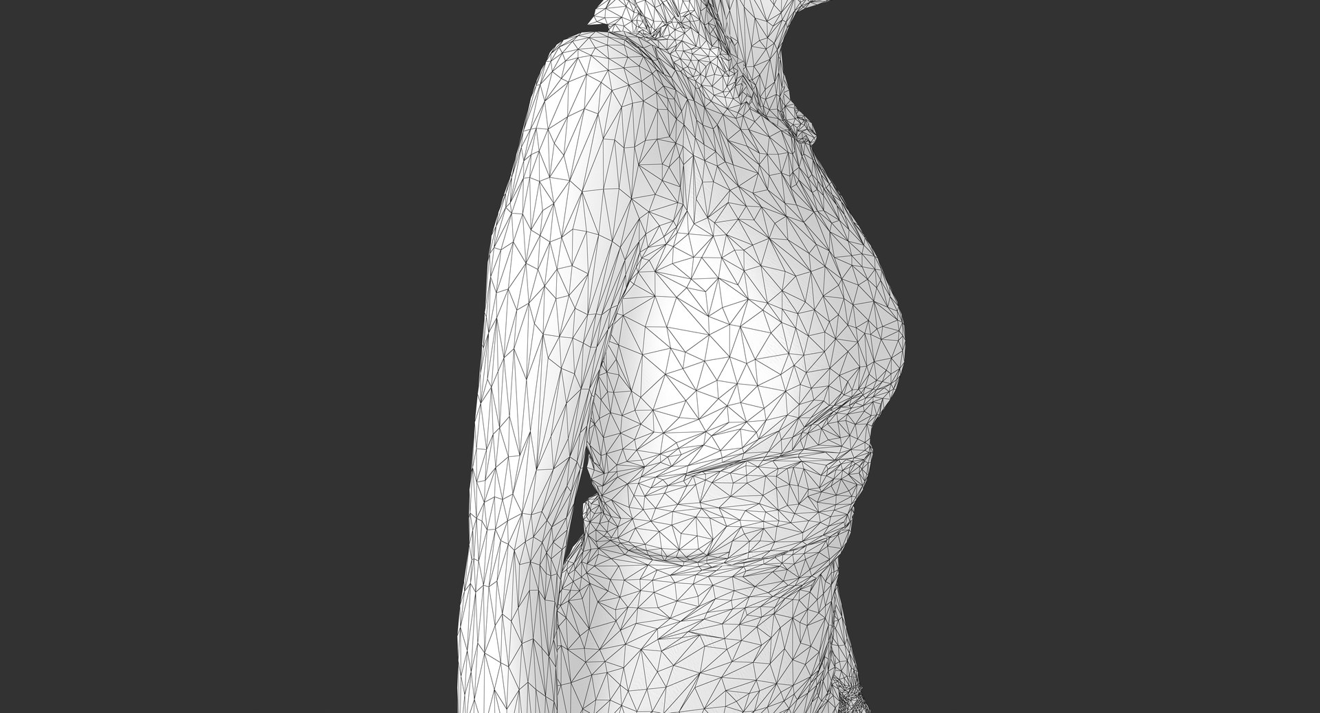 3d human body