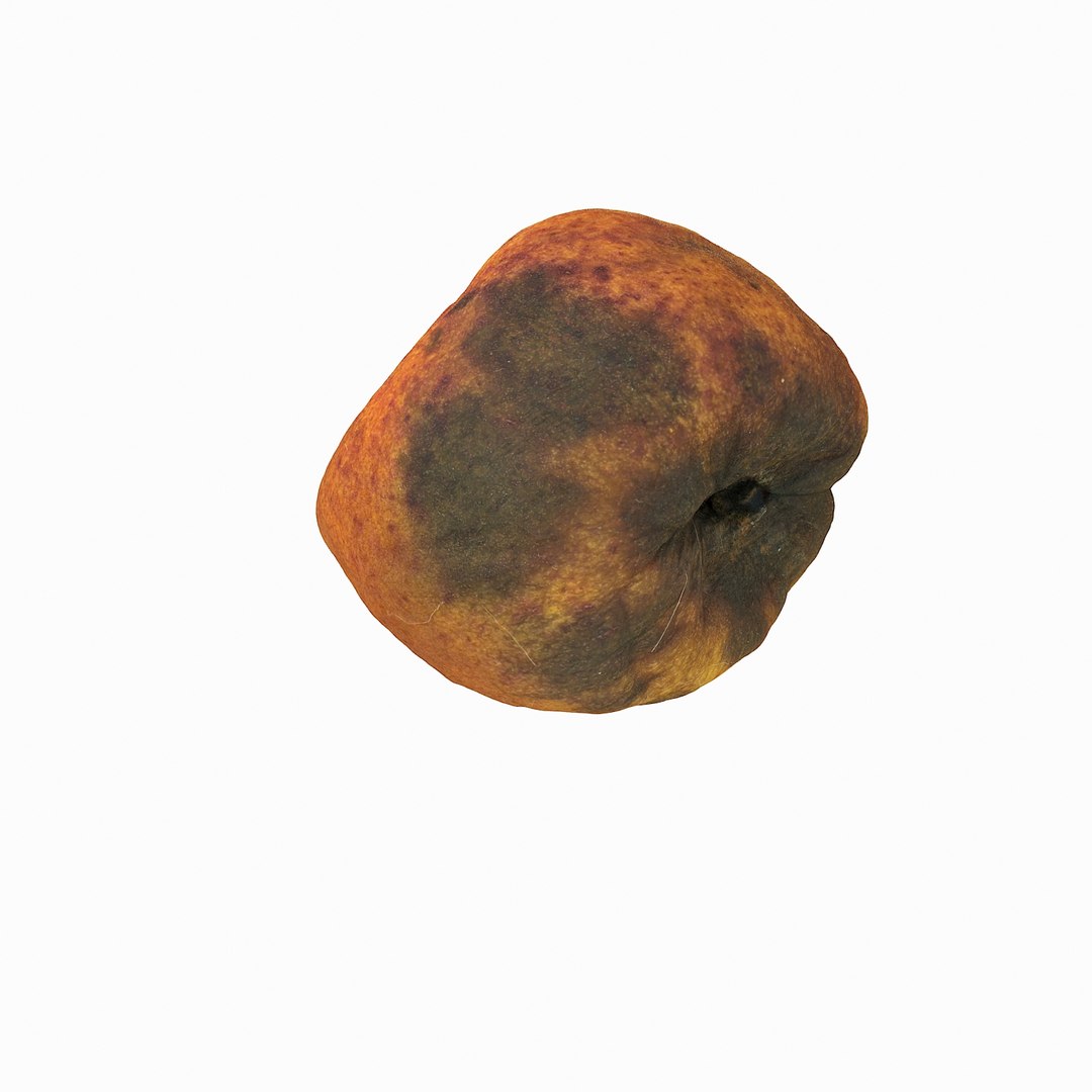 3D Putrid Old - TurboSquid 1163172