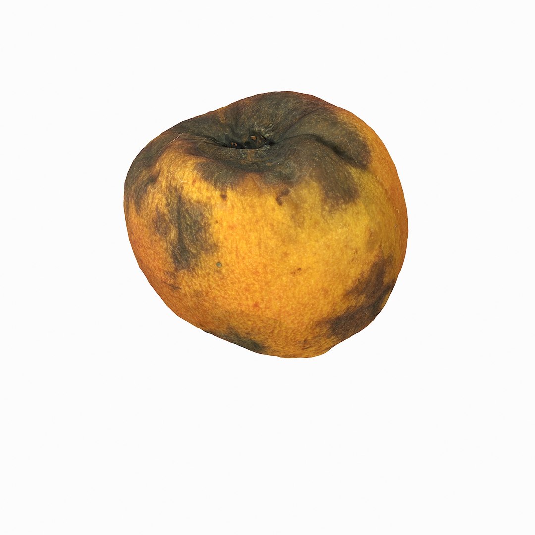 3D Putrid Old - TurboSquid 1163172