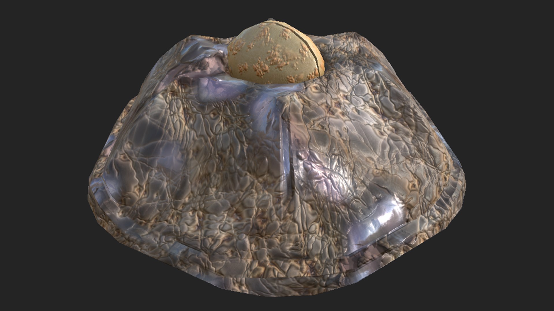 Barnacle Stylized 3D Model - TurboSquid 1845255