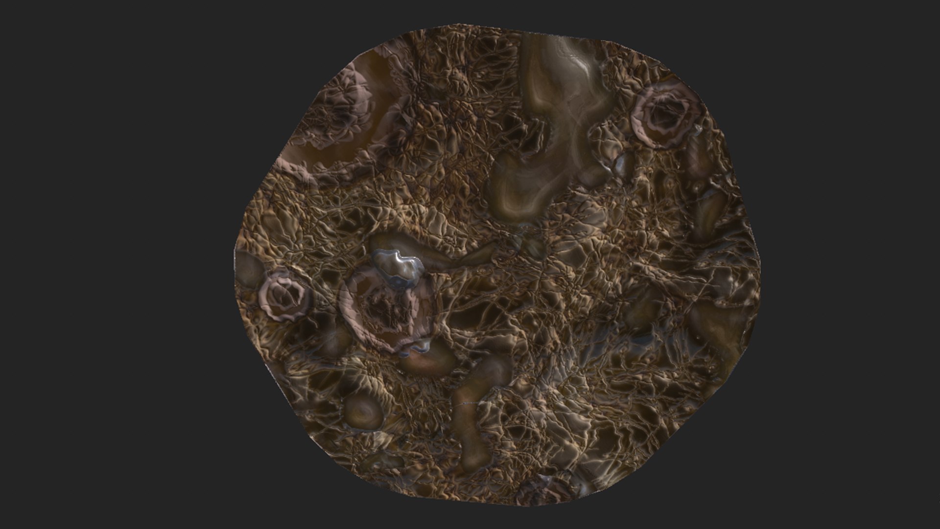 Barnacle Stylized 3D Model - TurboSquid 1845255