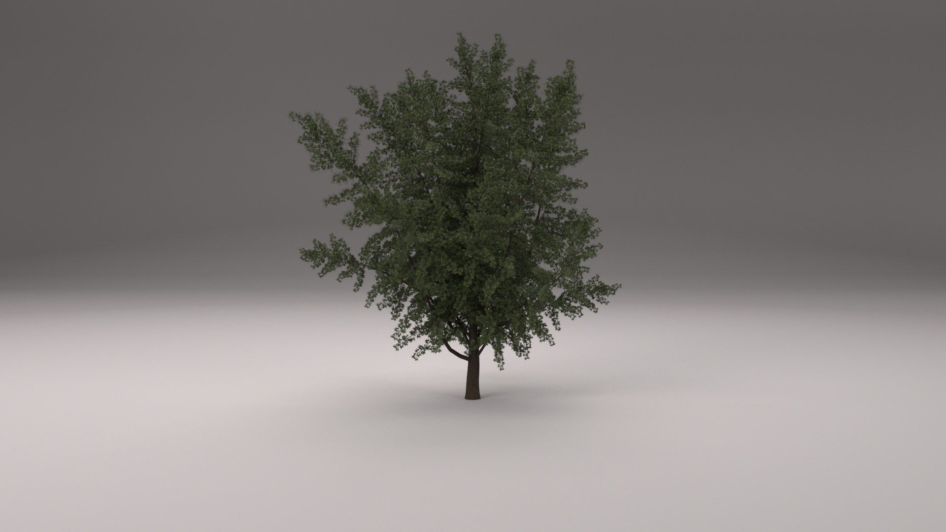 modelo 3d Tree - TurboSquid 2034599
