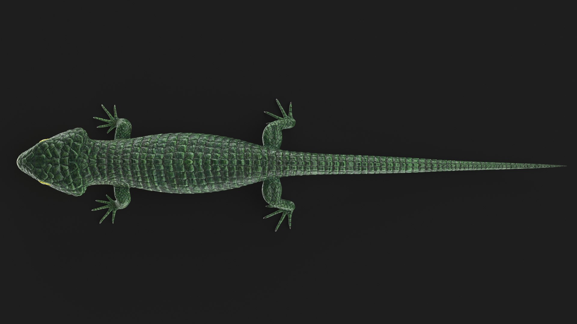 3D Mexican Alligator Lizard Rigged - TurboSquid 2305775
