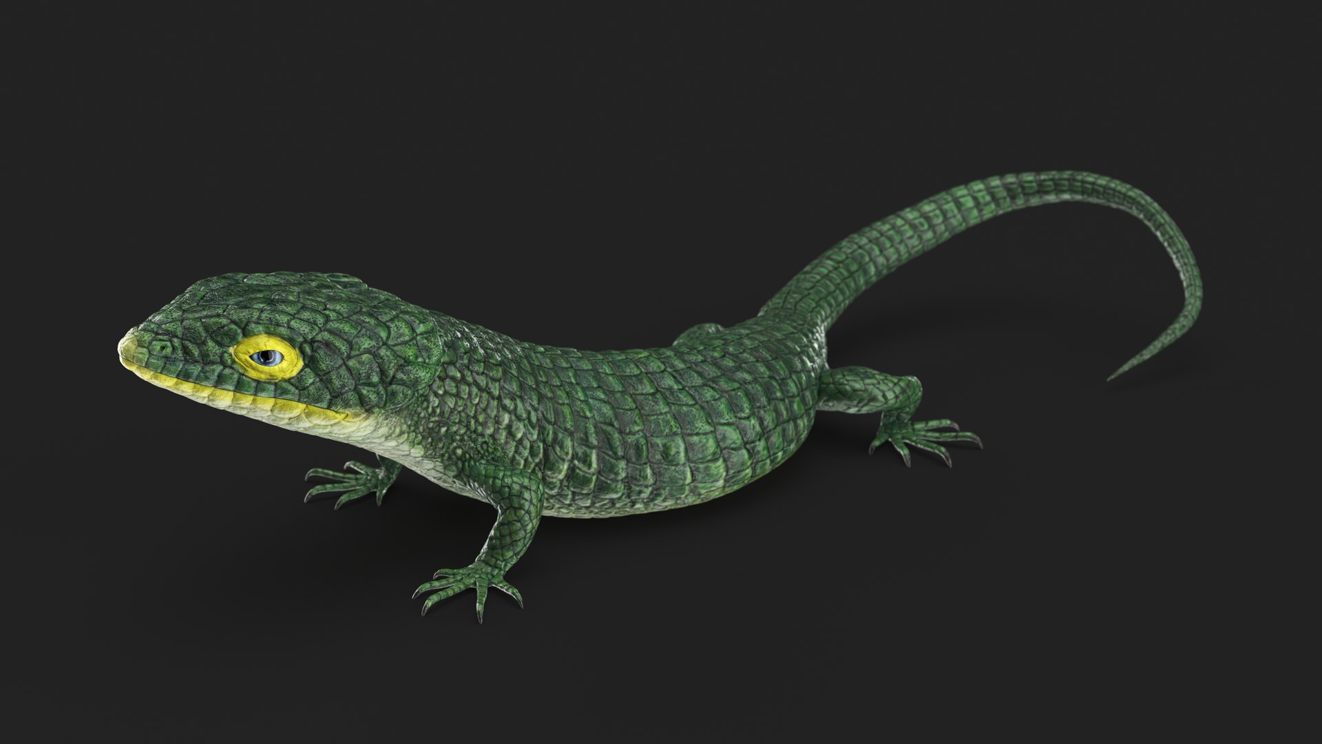 3D Mexican Alligator Lizard Rigged - TurboSquid 2305775