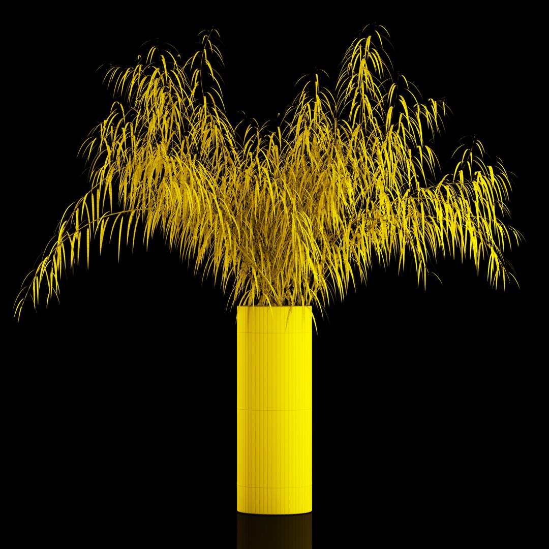 Realistic Agonis Flowers 3d Fbx