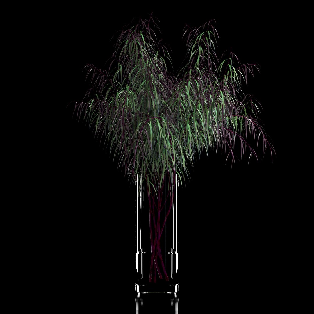 Realistic Agonis Flowers 3d Fbx