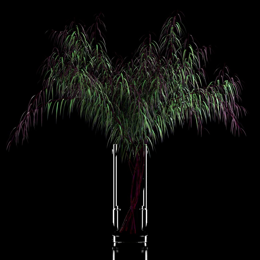 Realistic Agonis Flowers 3d Fbx