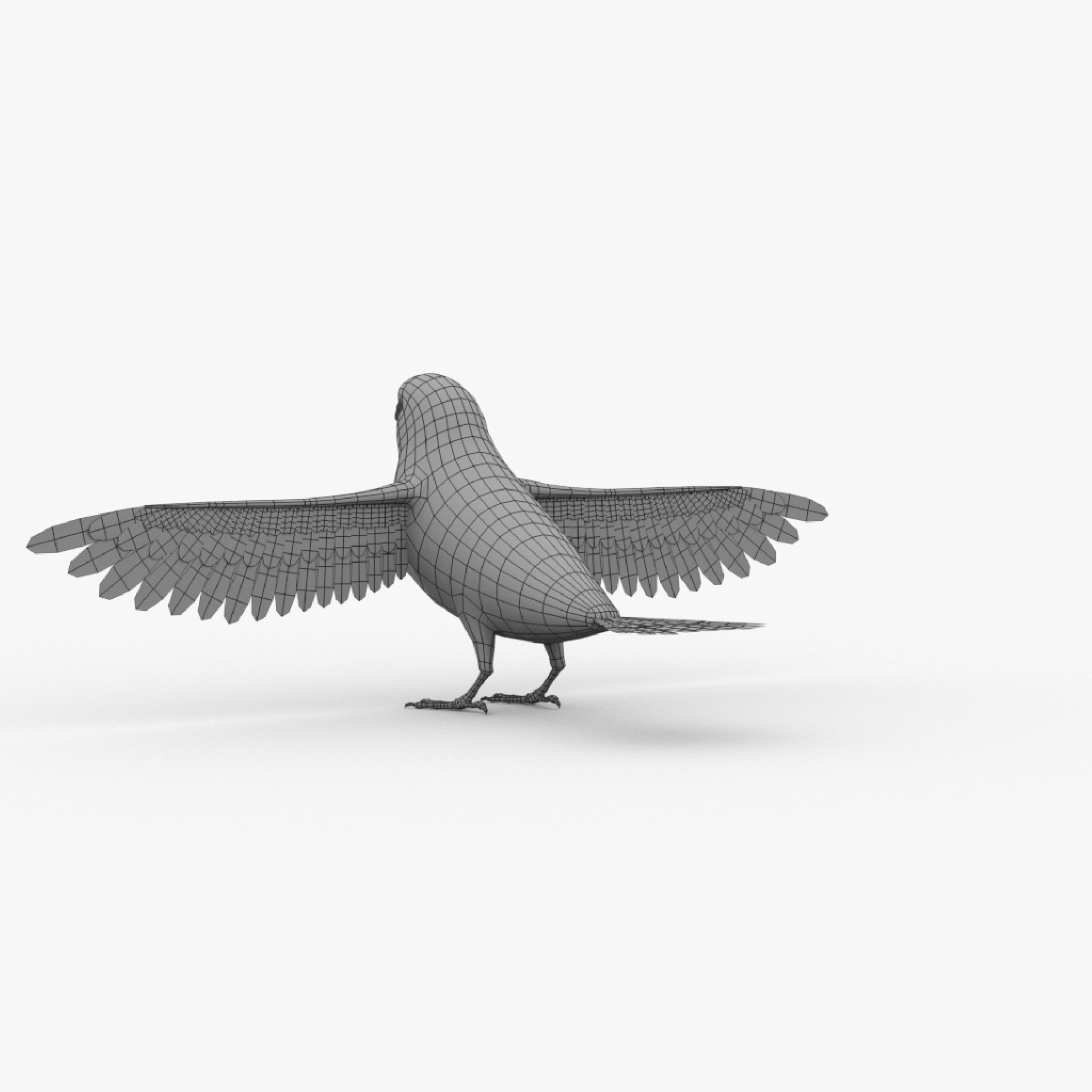 modelo 3d canary basemesh - TurboSquid 2006872