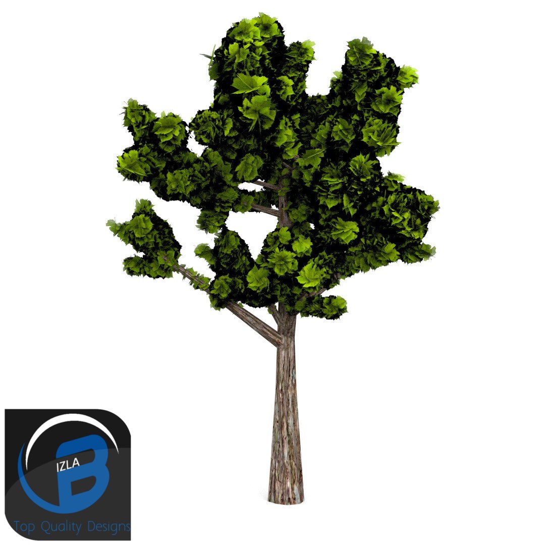 3d model tree leaf