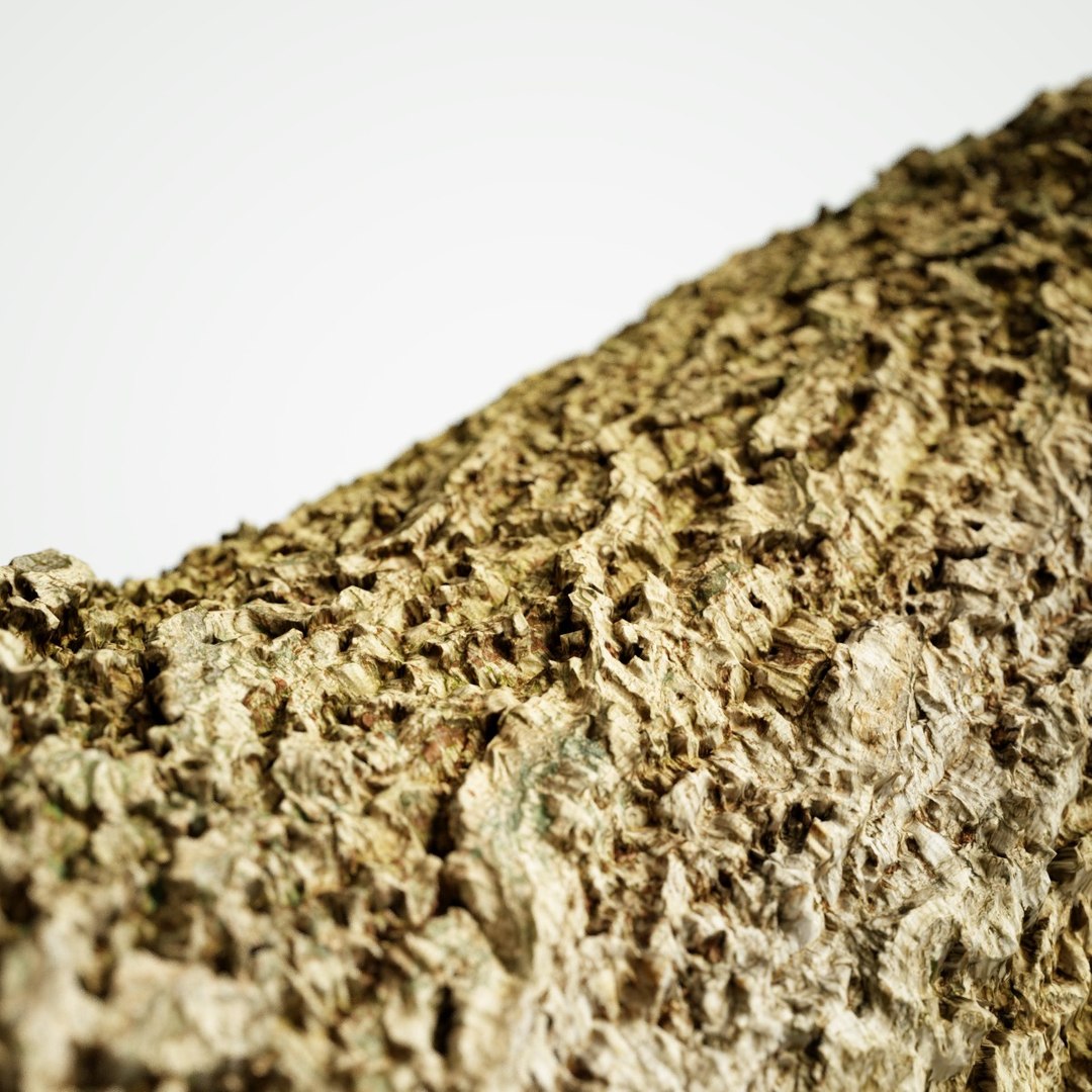 3d environment asset model