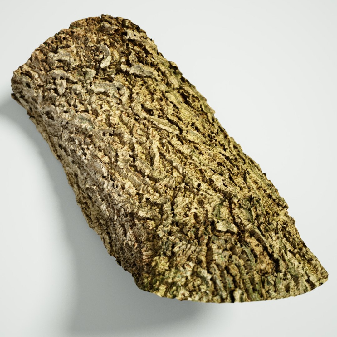 3d environment asset model