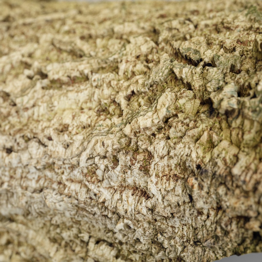 3d environment asset model