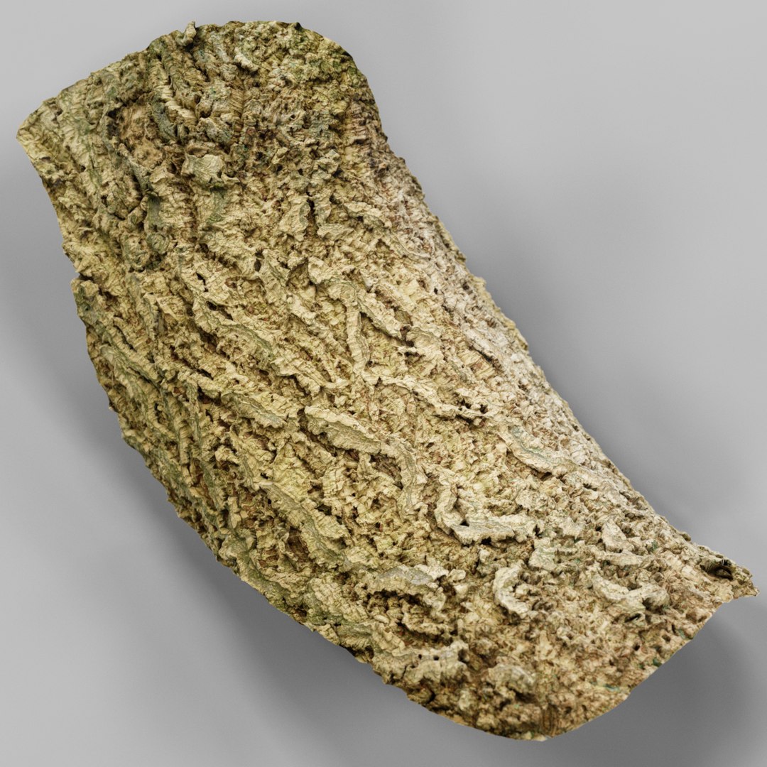 3d environment asset model