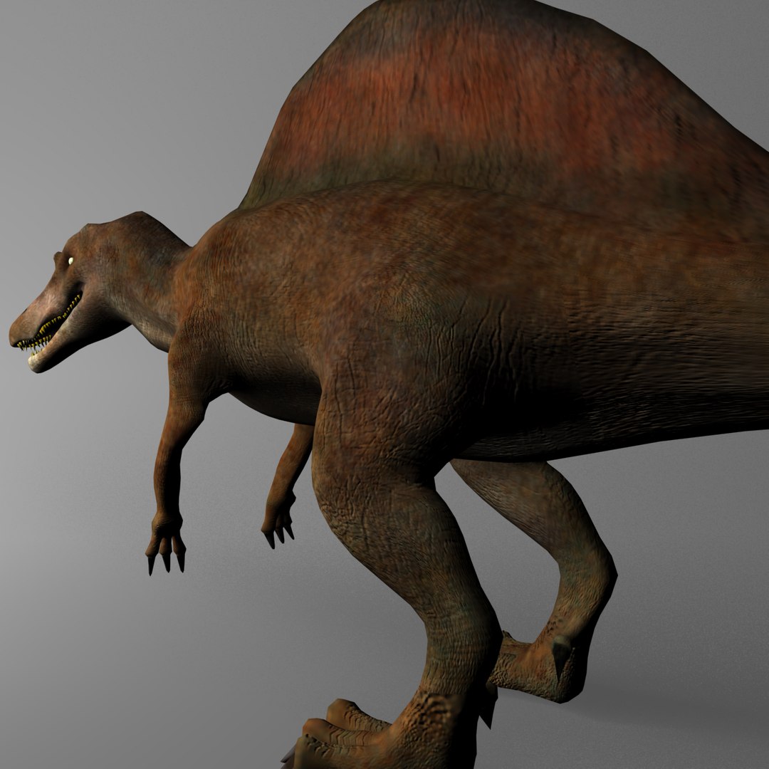 Spinosaurus Dinosaurs 3d Model