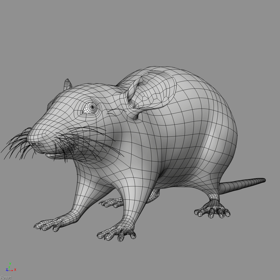 3d brown rat model