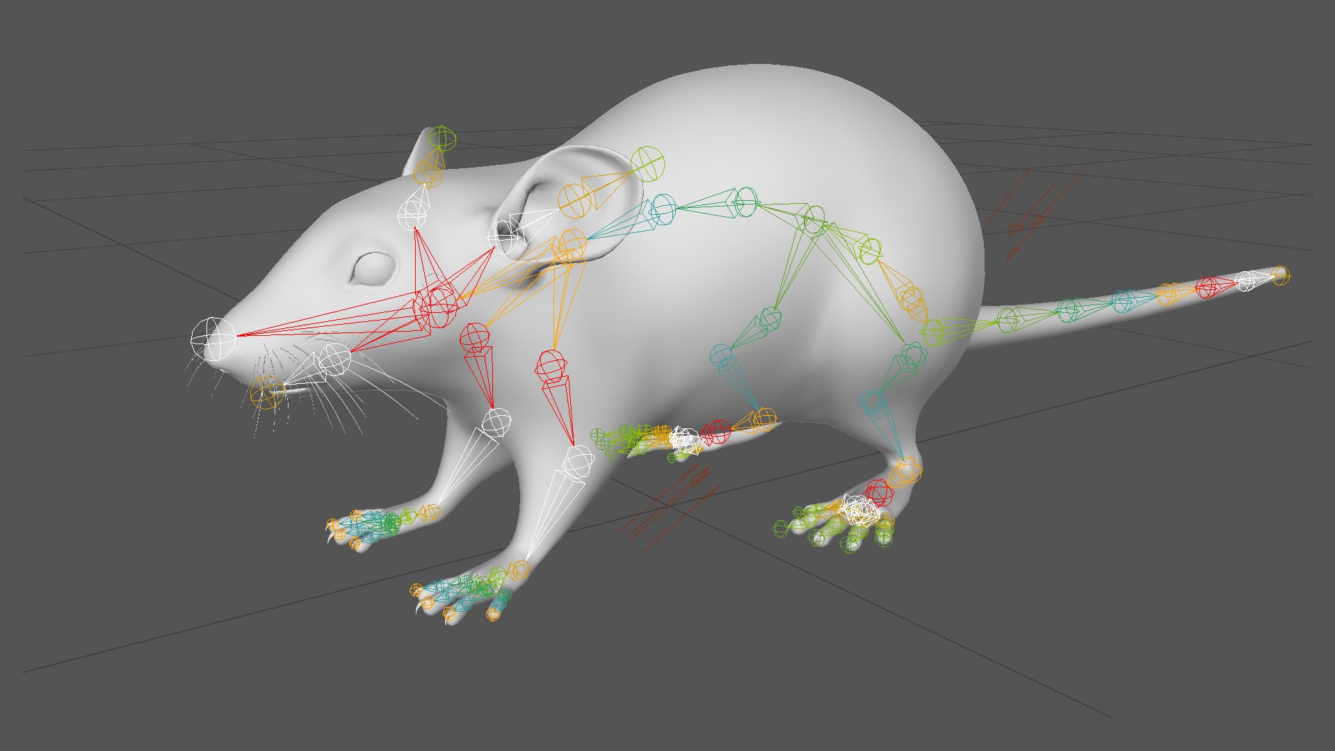 3d Brown Rat Model