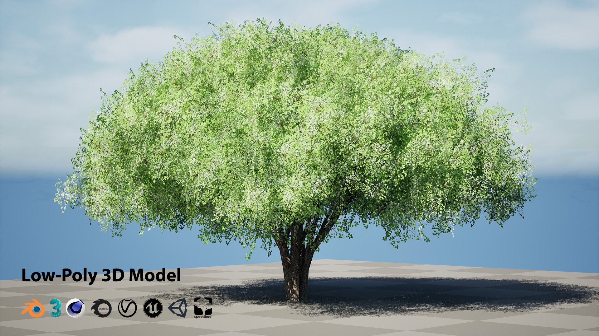 3D Model Customizable Hazelnut Tree With Free Tutorial - TurboSquid 2241693