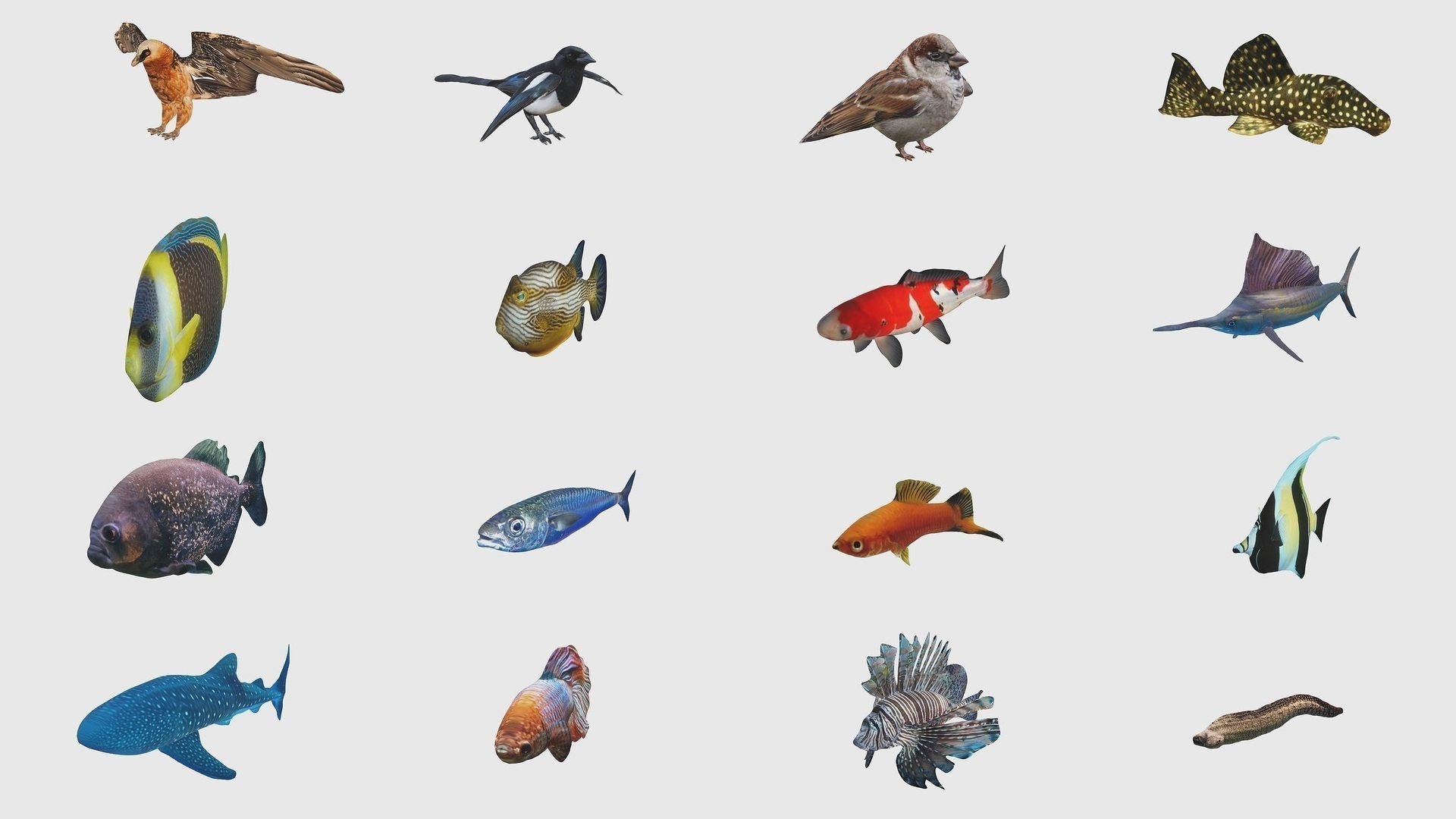 3D 100 Low Poly Animals Rigged With Realistic Textures - TurboSquid 1899246
