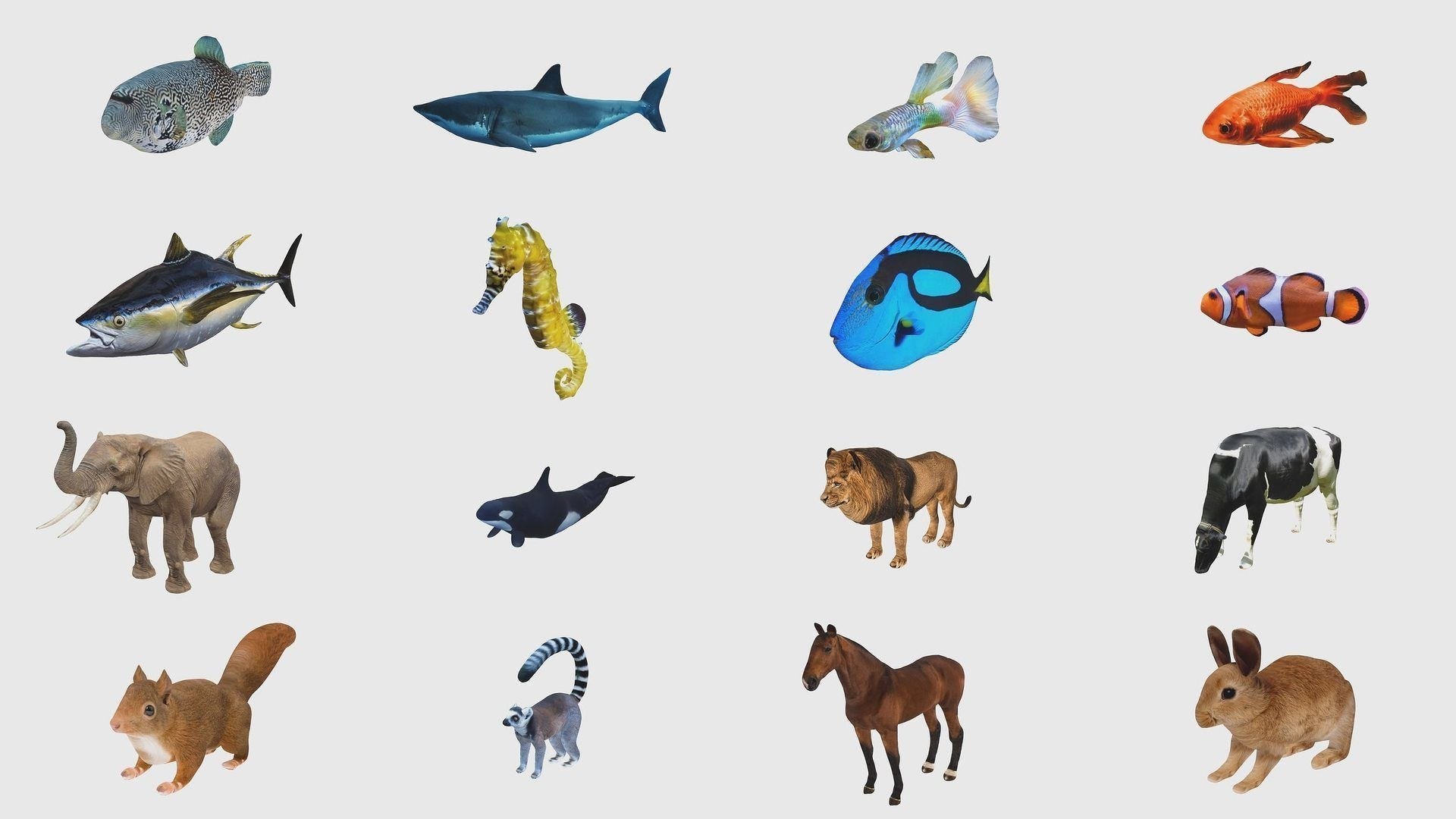 3D 100 Low Poly Animals Rigged With Realistic Textures - TurboSquid 1899246