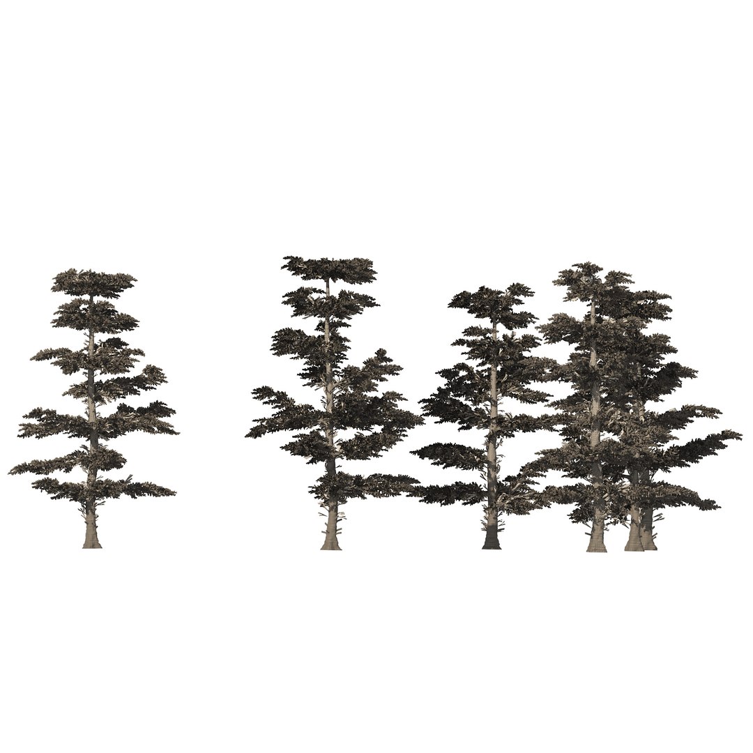 Snowy white fir trees 3D model - TurboSquid 1990394