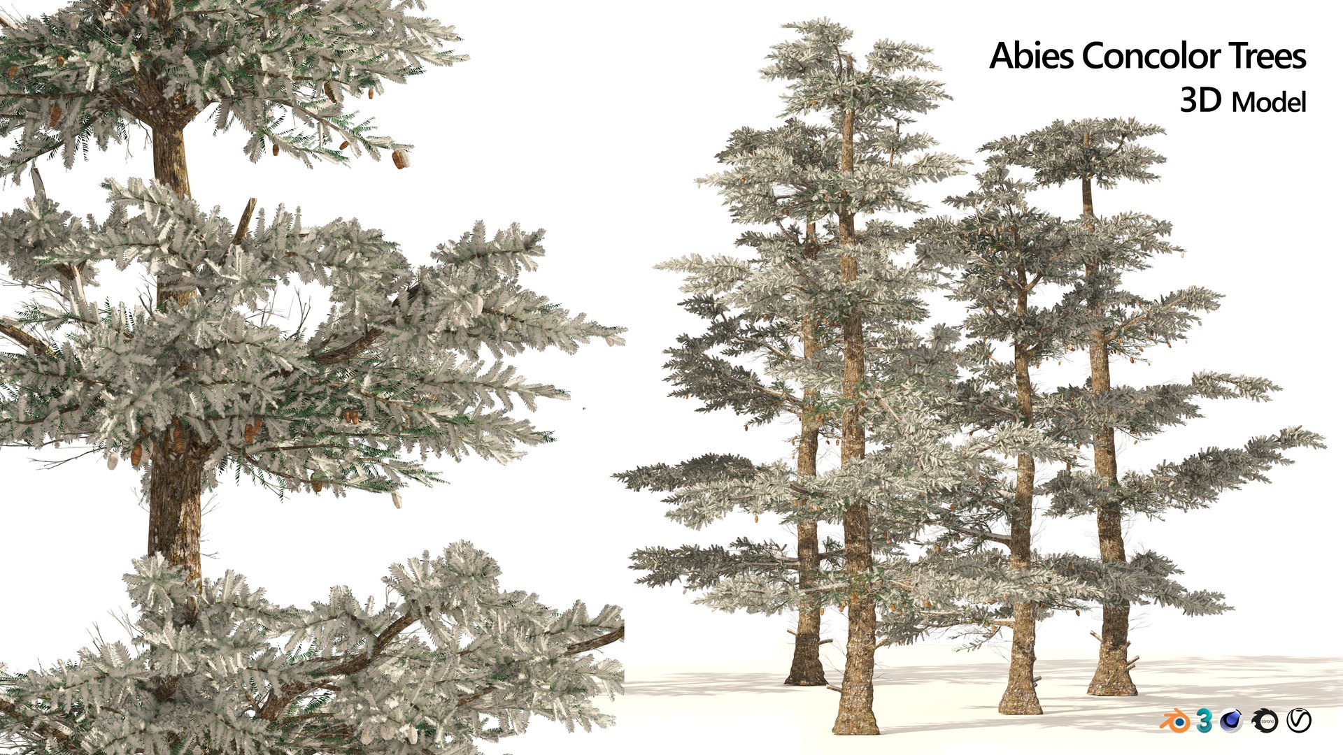 Snowy White Fir Trees 3D Model - TurboSquid 1990394