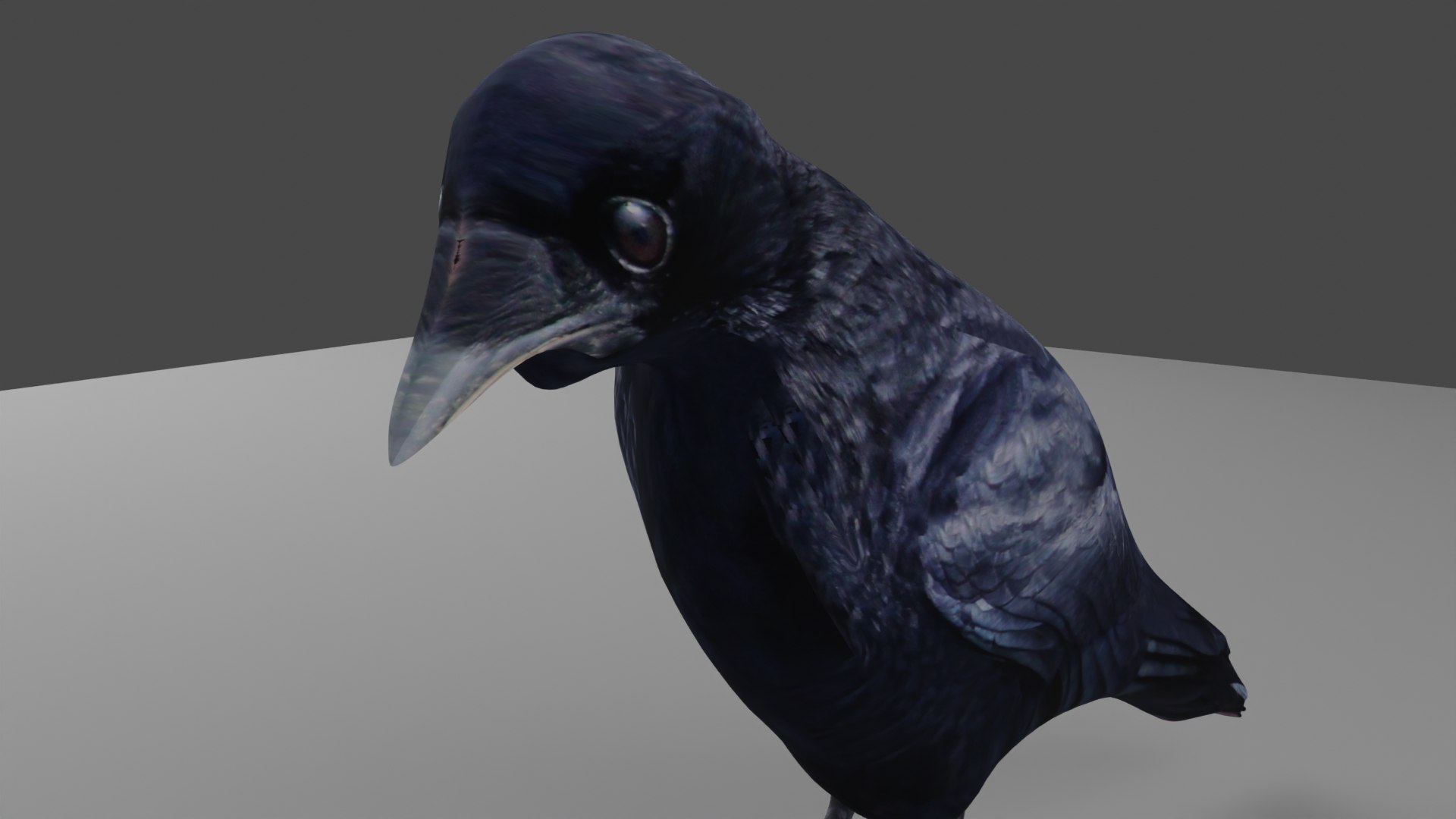 Crow 3D Model - TurboSquid 1949454