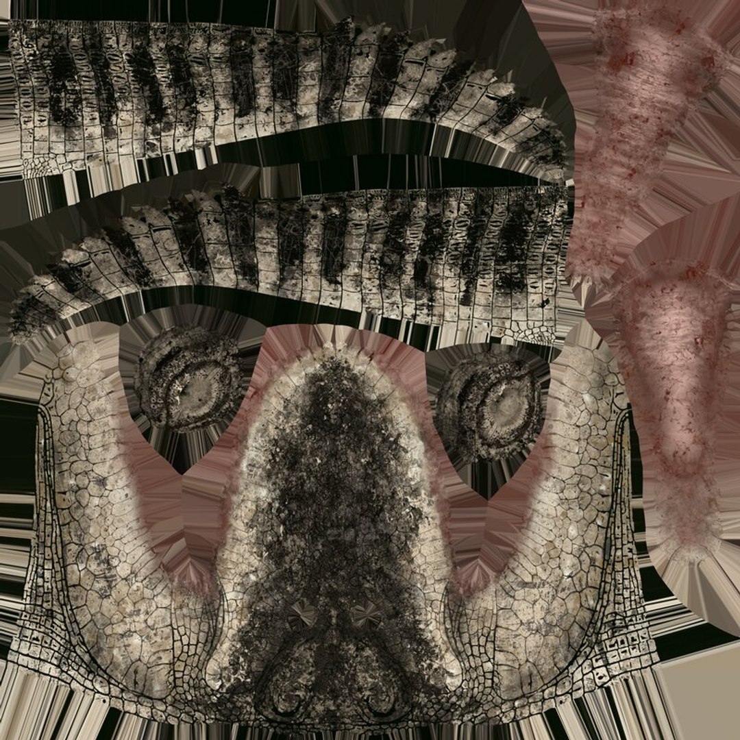 3D SaltWater Crocodile Animated model - TurboSquid 2171478