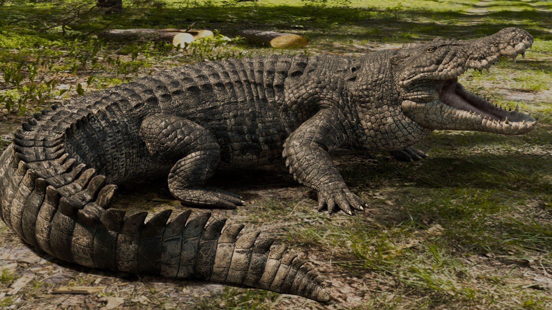 3D SaltWater Crocodile Animated Model - TurboSquid 2171478