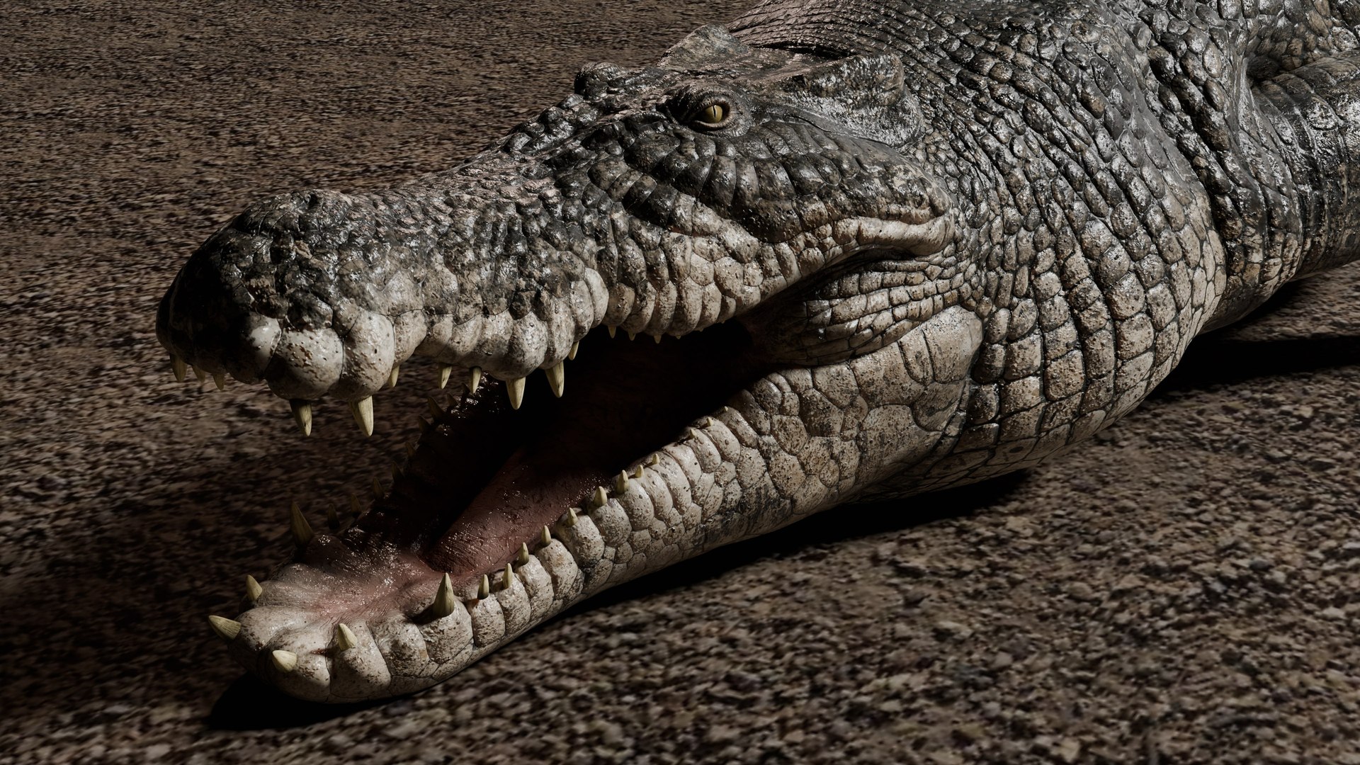 3D SaltWater Crocodile Animated Model - TurboSquid 2171478
