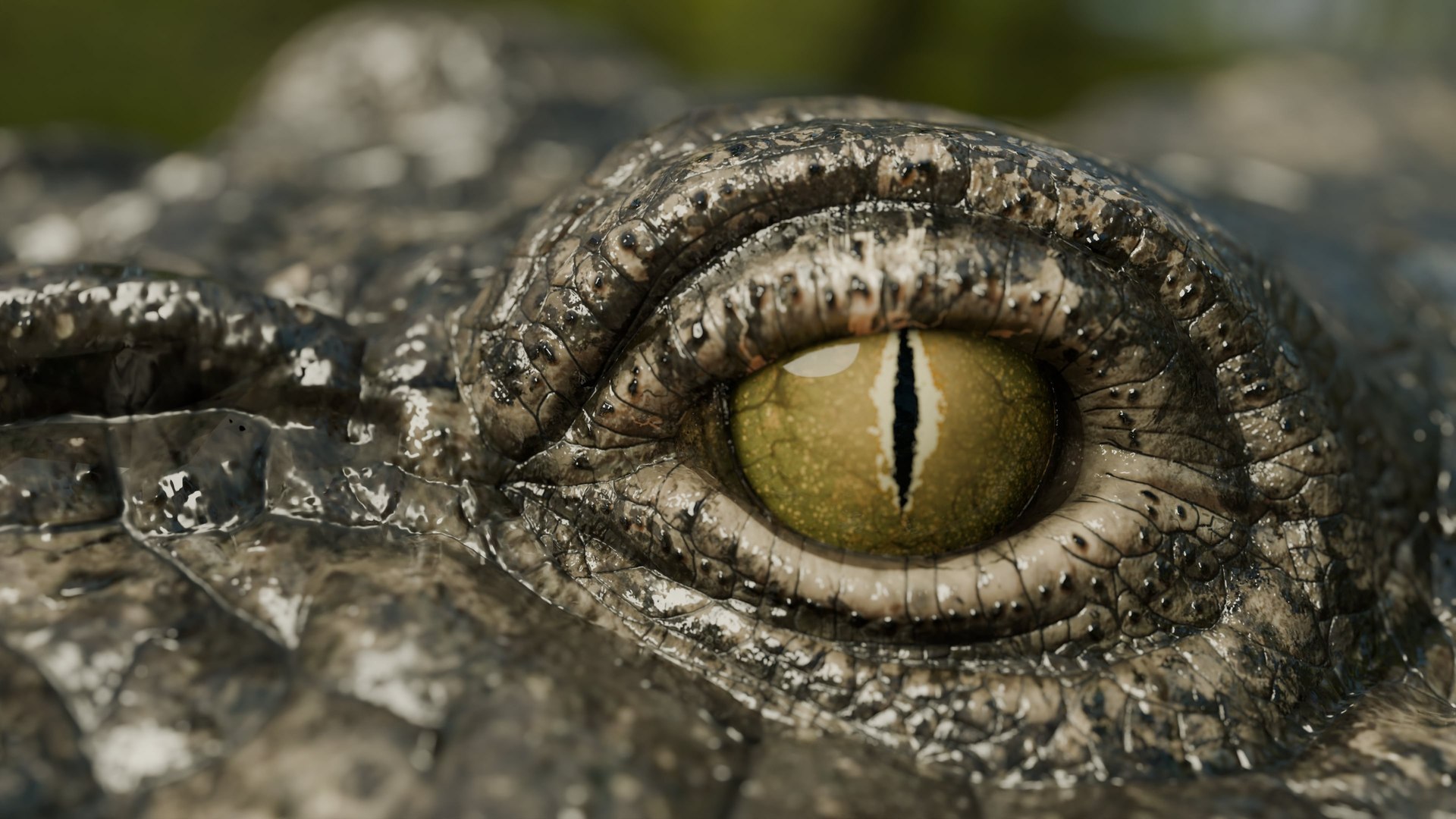 3D SaltWater Crocodile Animated Model - TurboSquid 2171478