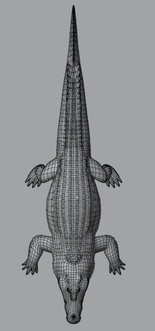 3D SaltWater Crocodile Animated model - TurboSquid 2171478