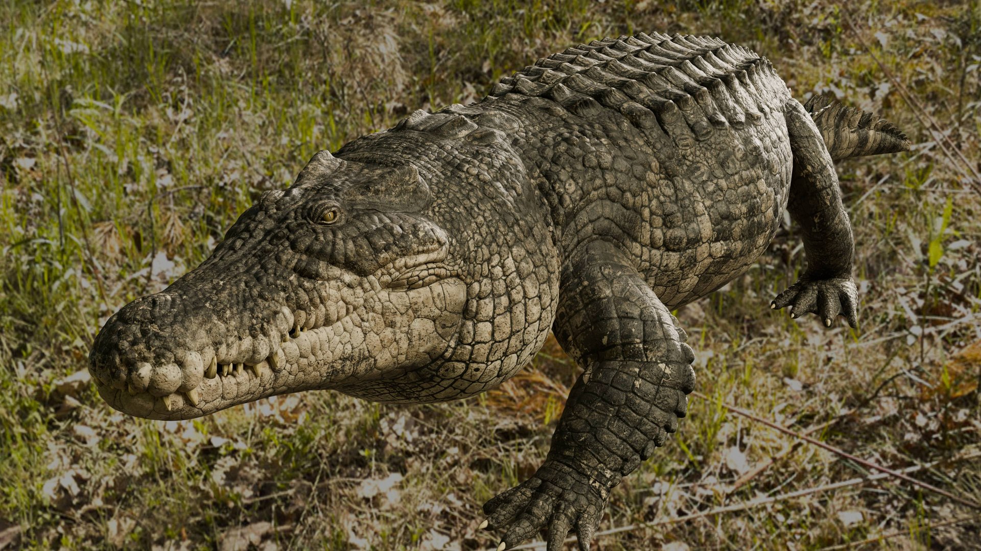 3D SaltWater Crocodile Animated Model - TurboSquid 2171478