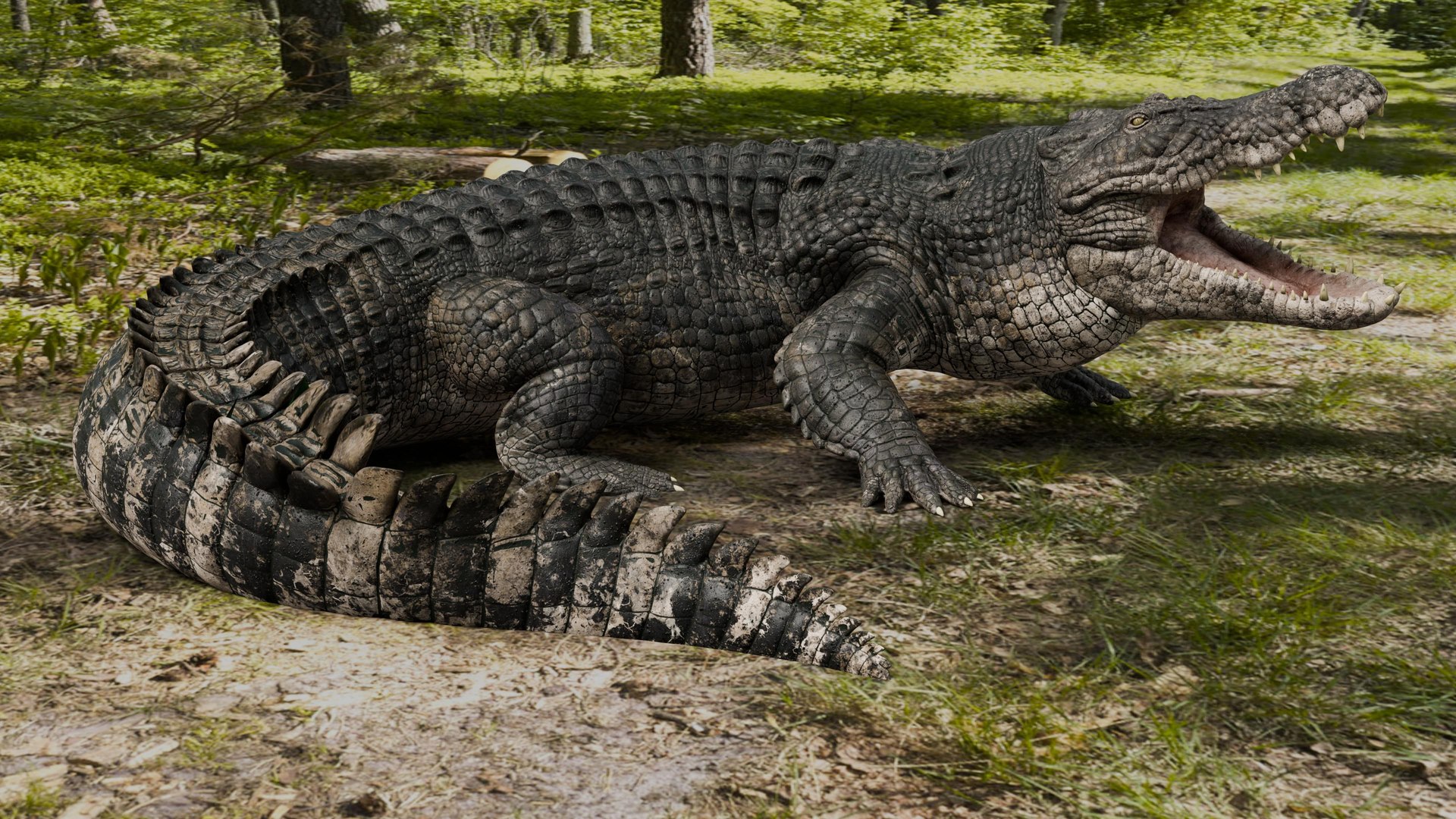 3D SaltWater Crocodile Animated Model - TurboSquid 2171478