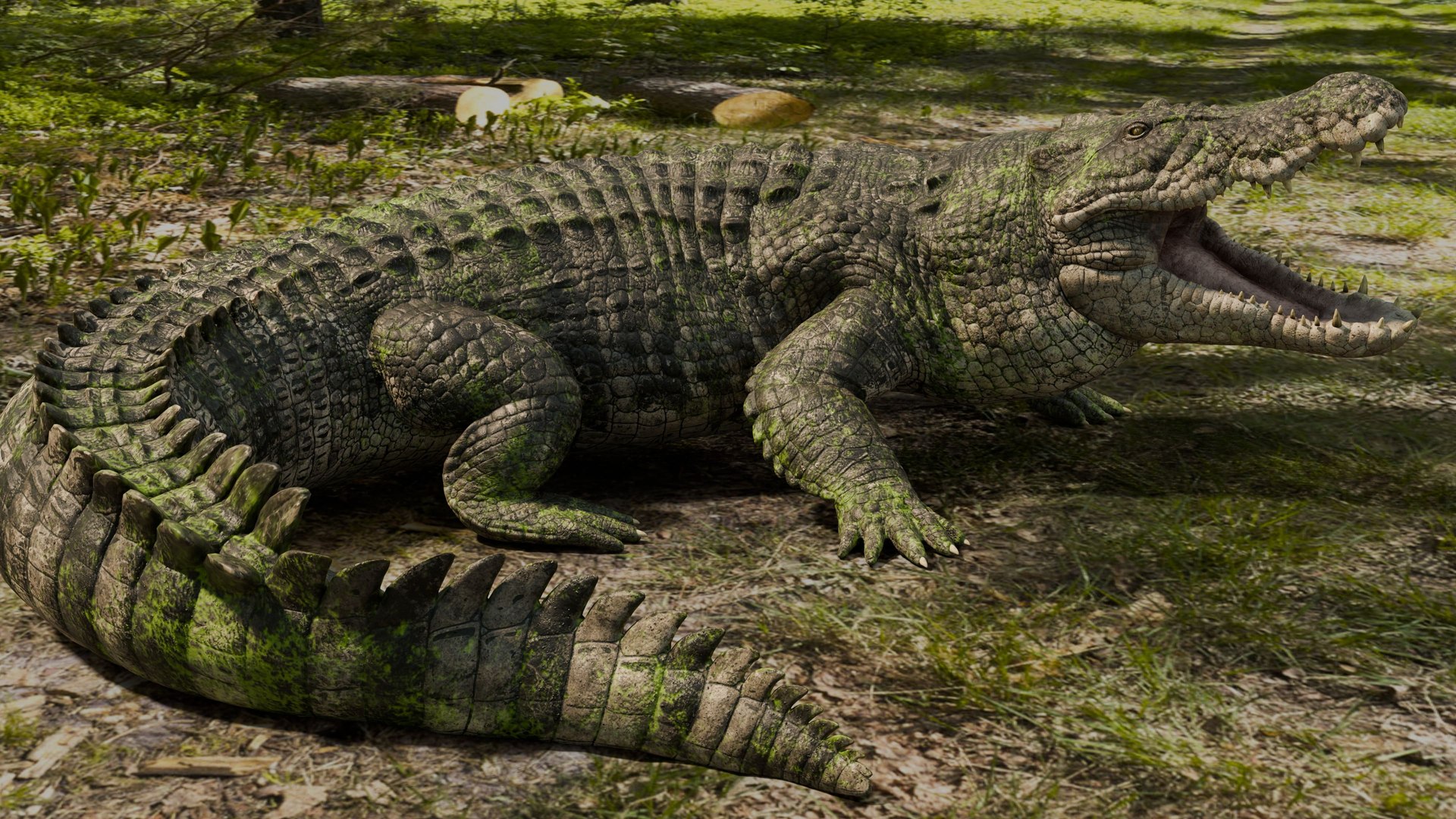 3D SaltWater Crocodile Animated Model - TurboSquid 2171478