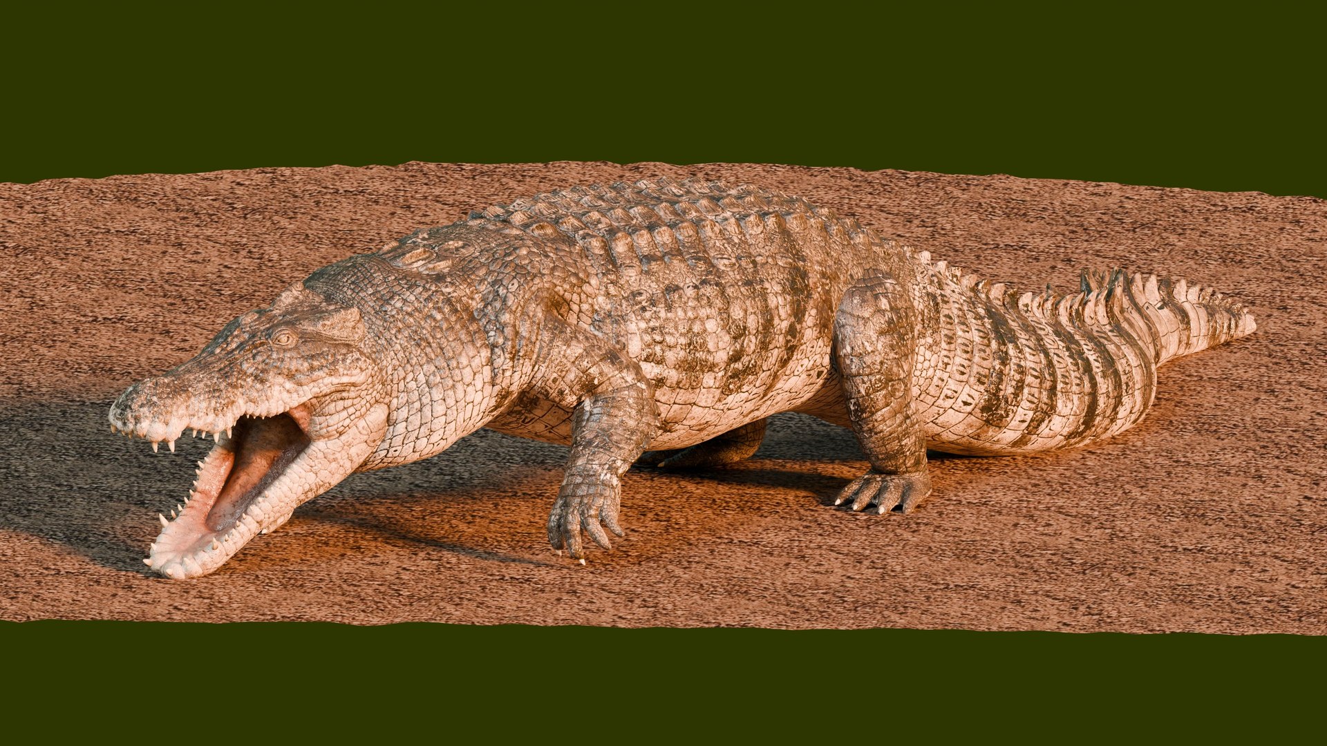 3D SaltWater Crocodile Animated Model - TurboSquid 2171478