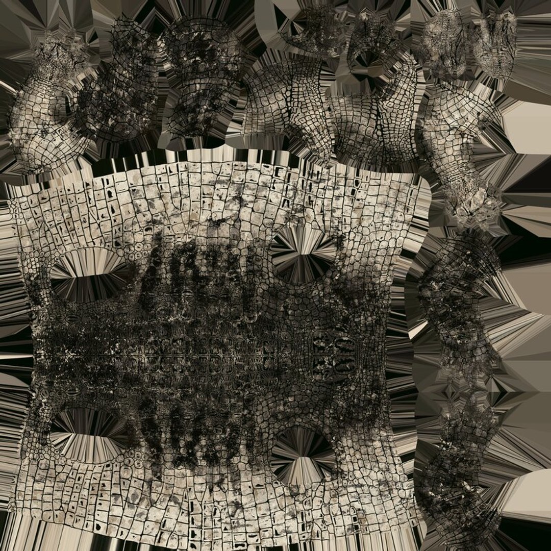 3D SaltWater Crocodile Animated model - TurboSquid 2171478