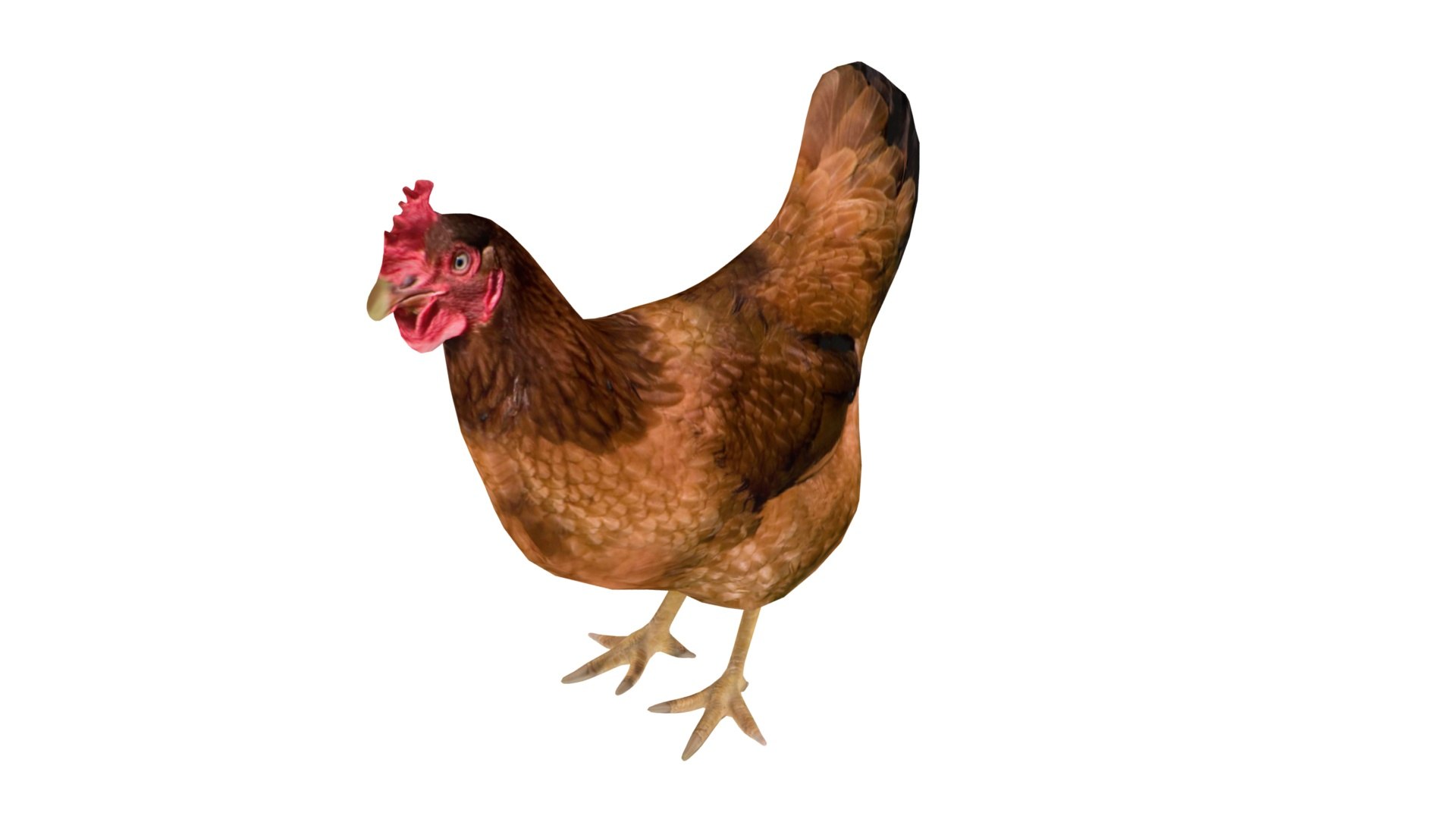 3D Nest Box Chicken And Egg Collection - TurboSquid 2280812