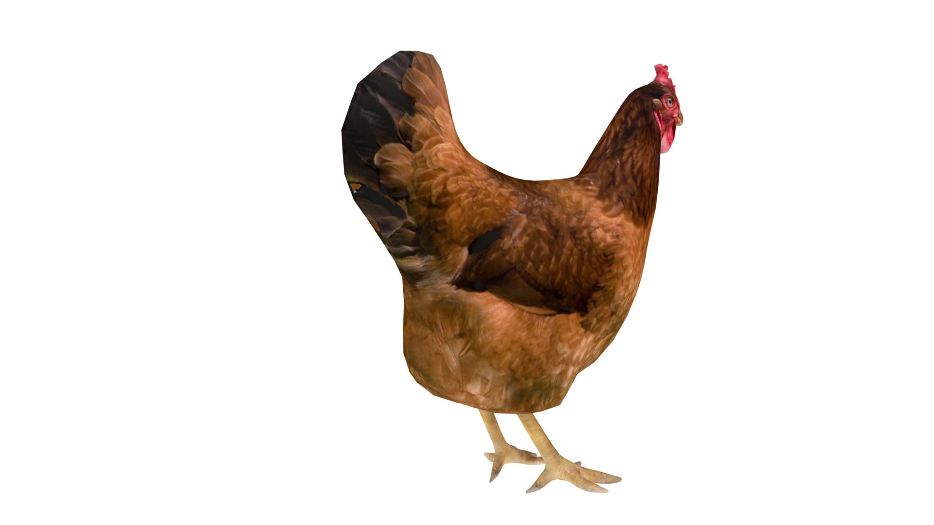 3D Nest Box Chicken And Egg Collection - TurboSquid 2280812