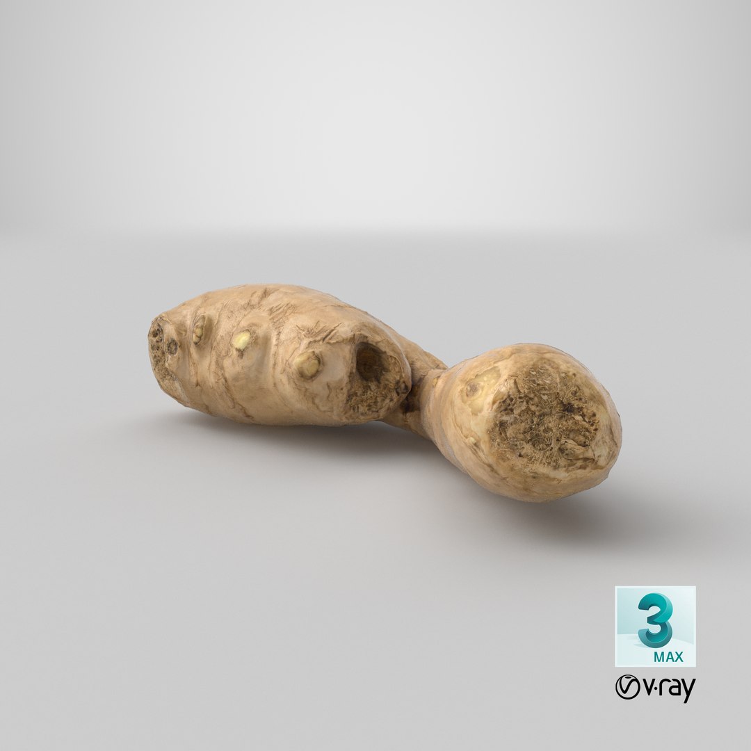 Ginger root 02 3D model - TurboSquid 1399232