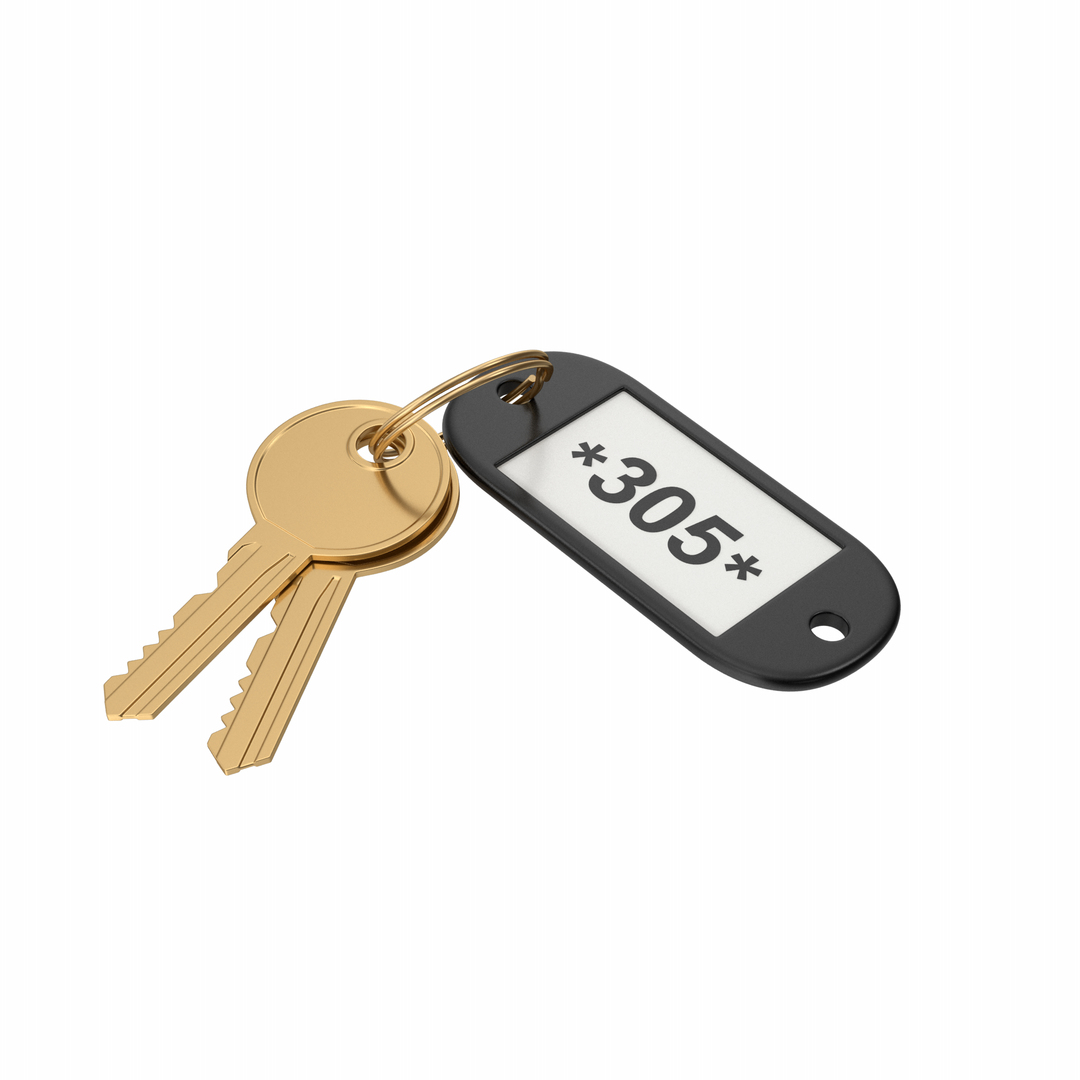 Hotel Room Keys Model - TurboSquid 2254910