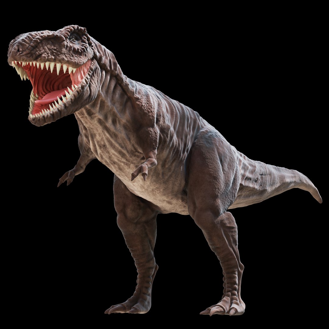 3D Tyrannosaurus Rex - TurboSquid 1190273