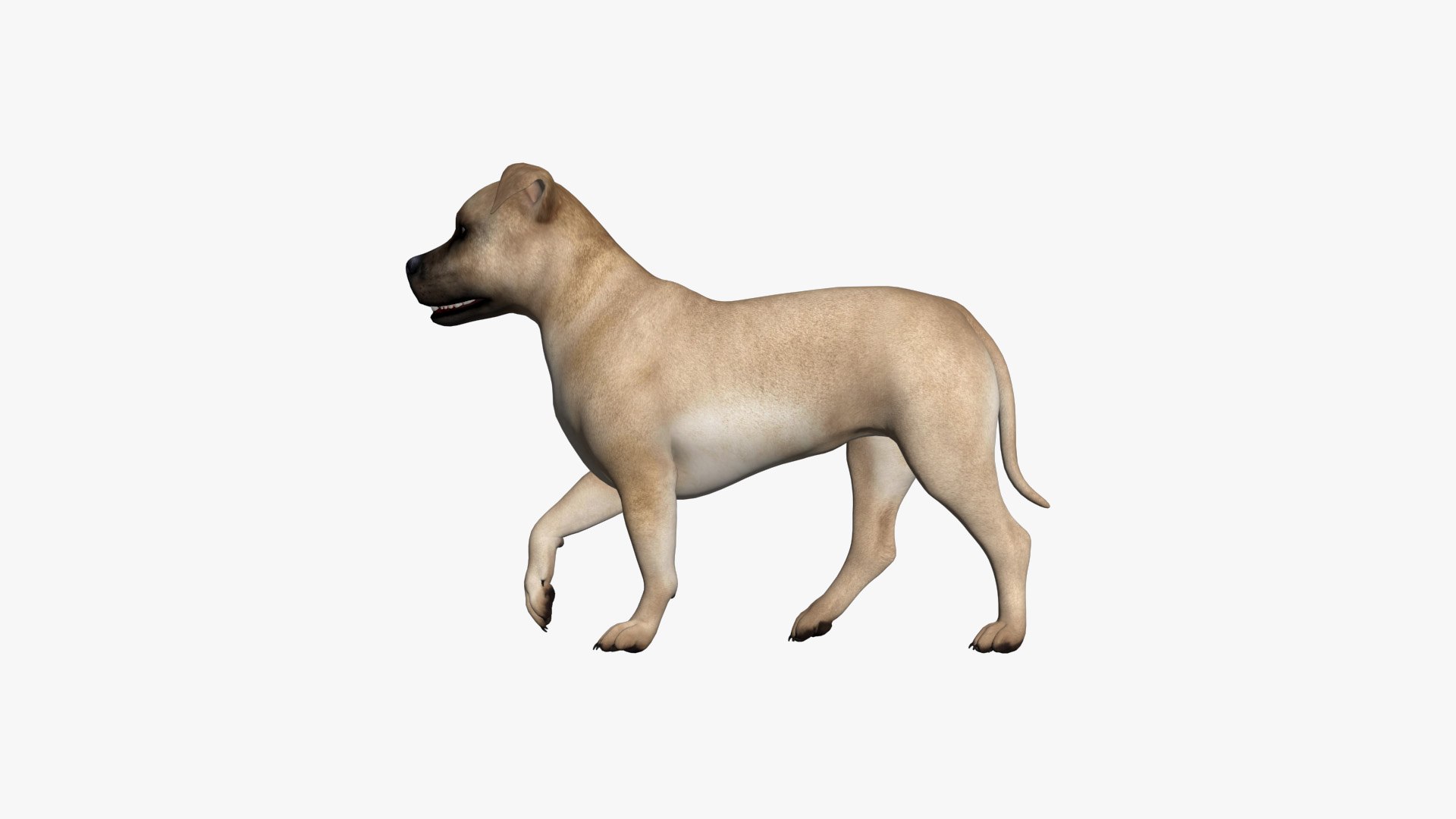 3D Model FPT-003 Walking Animation - TurboSquid 2008122