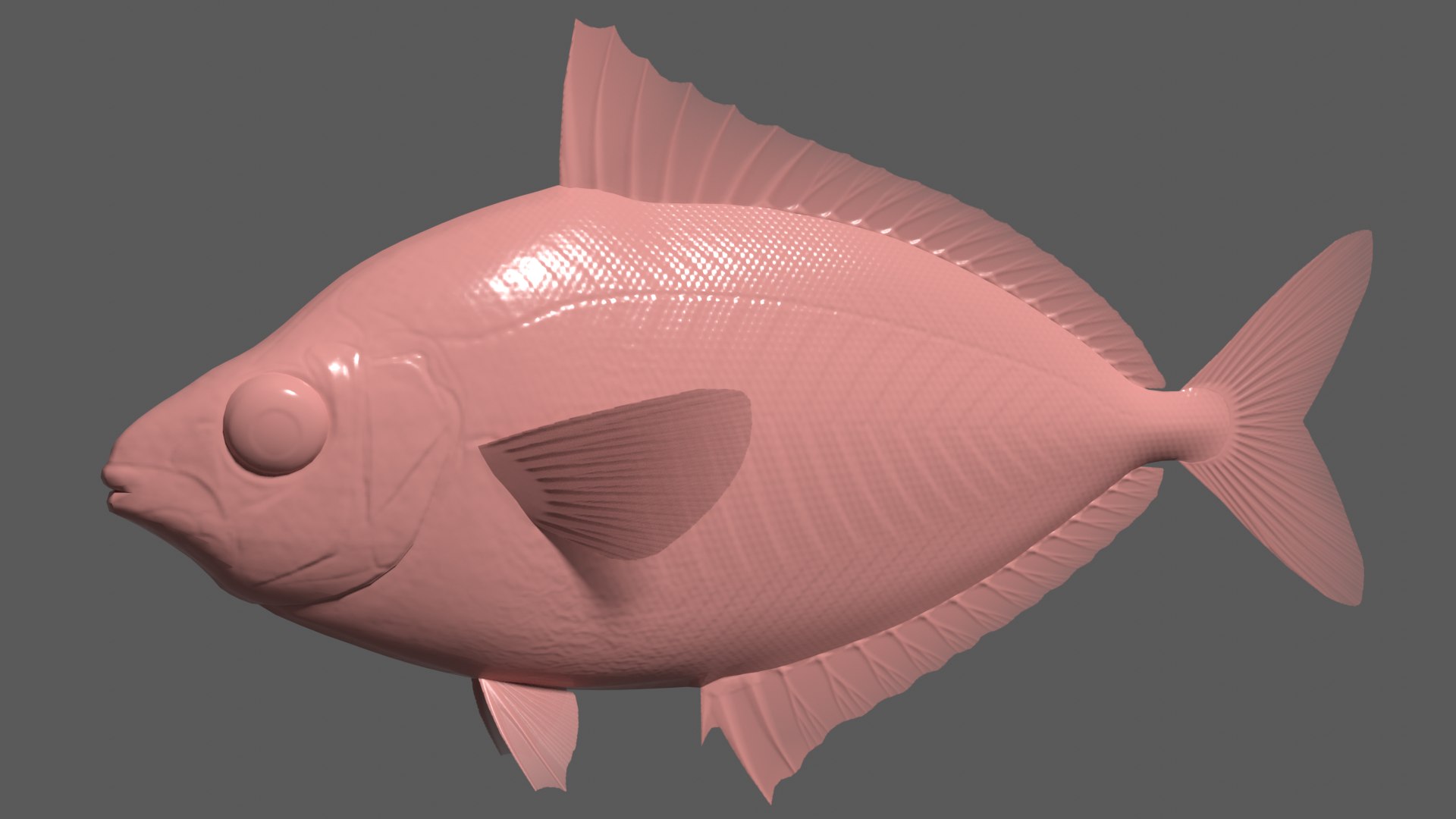Nuchequula Nuchalis Swimming 3d Model