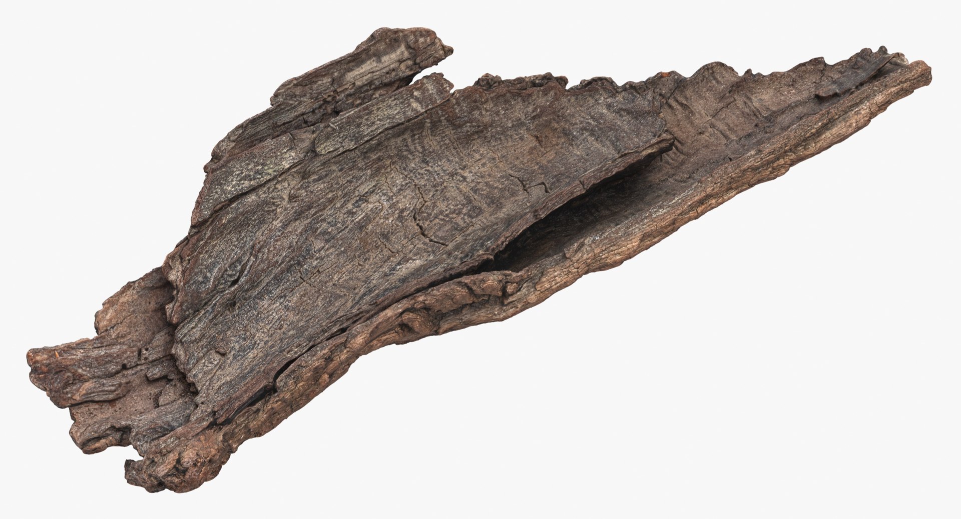 3D Broken Tree Bark Piece 02 Model - TurboSquid 2217738