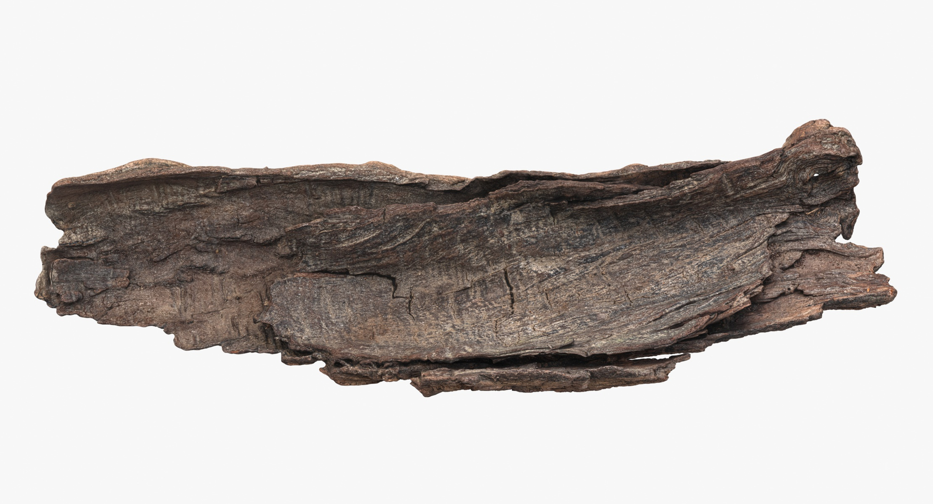 3D Broken Tree Bark Piece 02 Model - TurboSquid 2217738