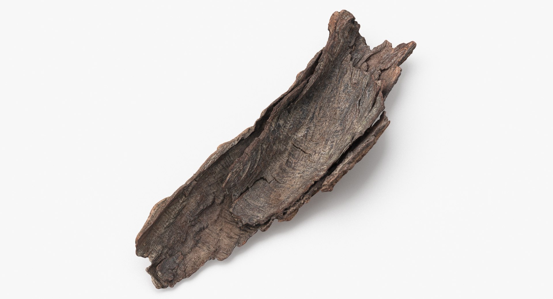 3D Broken Tree Bark Piece 02 Model - TurboSquid 2217738